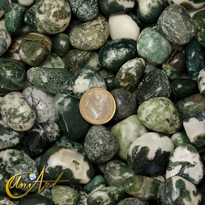 Buy tree agate tumbled stones in packet of 200 grs
